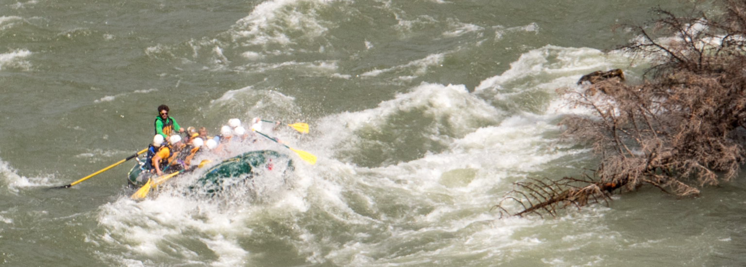 Classic Snake River Whitewater Rafting - Teton Whitewater